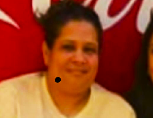 Anasha Sankar missing along with her Toyota Hilux | News Extra ...