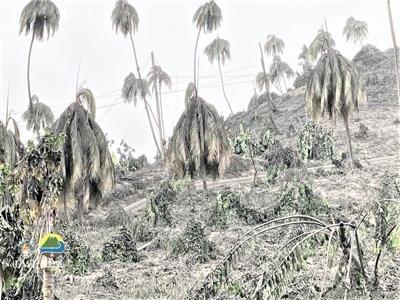 Earthquakes, pyroclastic event, mudflow, as La Soufriere eruption ...