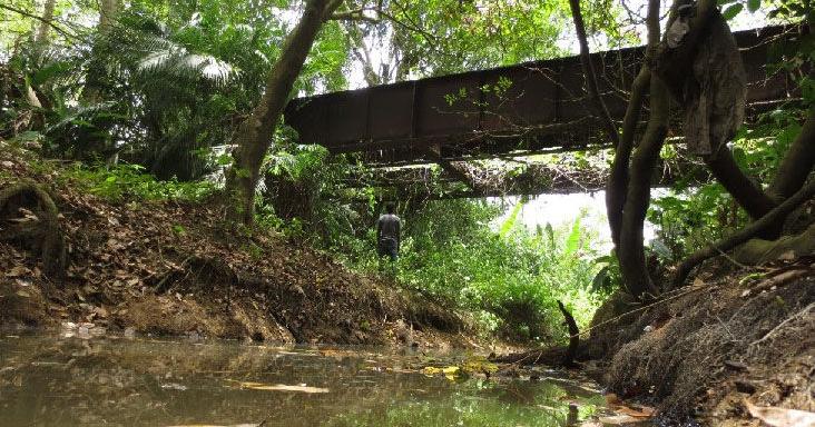 Defending the bridges | Local News | trinidadexpress.com