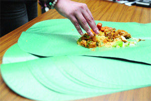 PAPER LEAVES | Local News | trinidadexpress.com