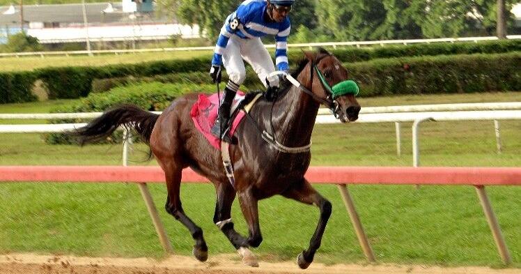 US horses keep winning | Local Sports | trinidadexpress.com