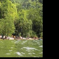 Visit Monos Island this Sunday | Local News | trinidadexpress.com