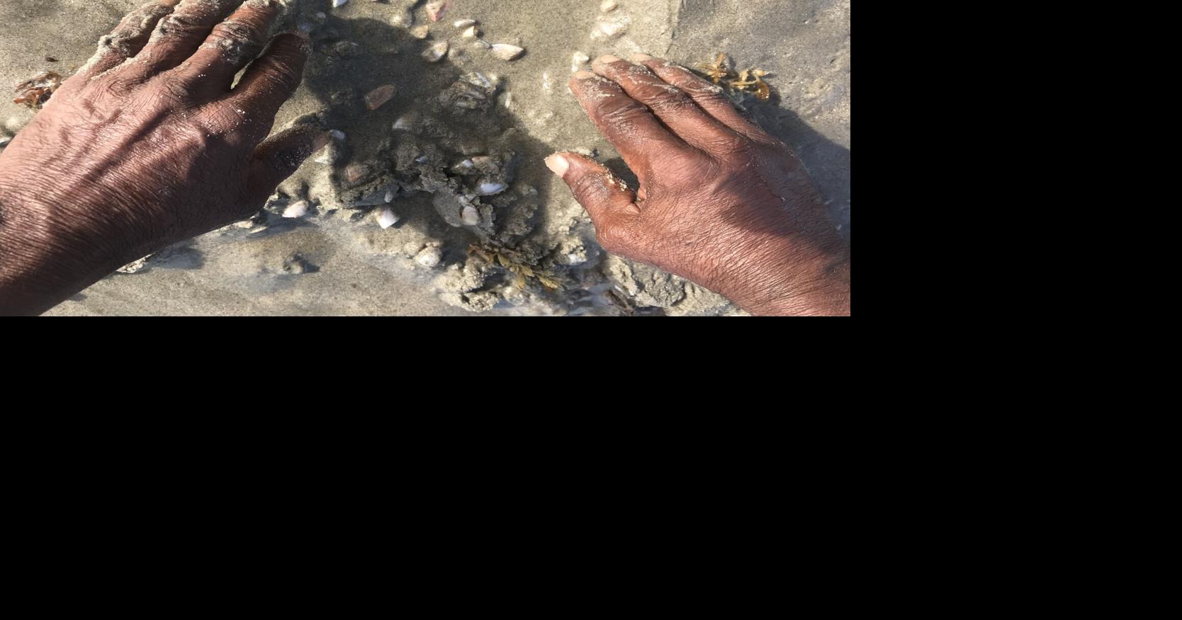 Creatures in the sand | Features Local | trinidadexpress.com