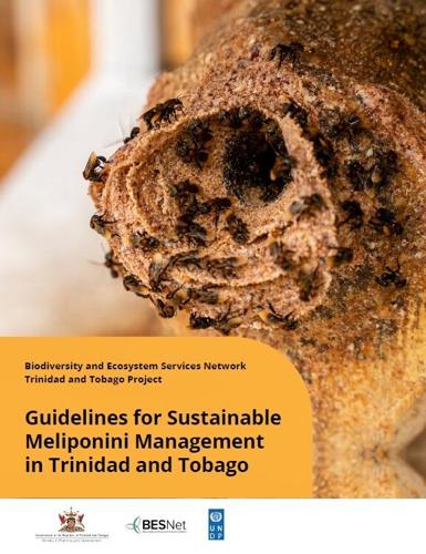 Biodiversity and bees | Features Local | trinidadexpress.com