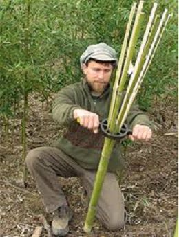 Art of bamboo bending | Local News | trinidadexpress.com