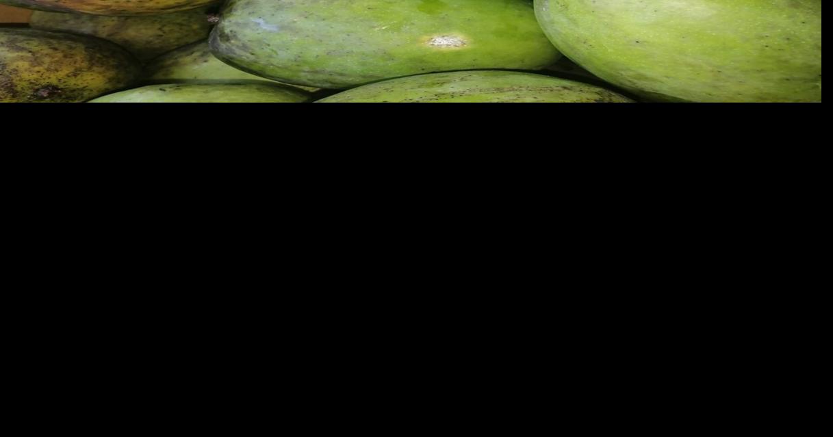 Two years jail for stealing mangoes | News Extra | trinidadexpress.com