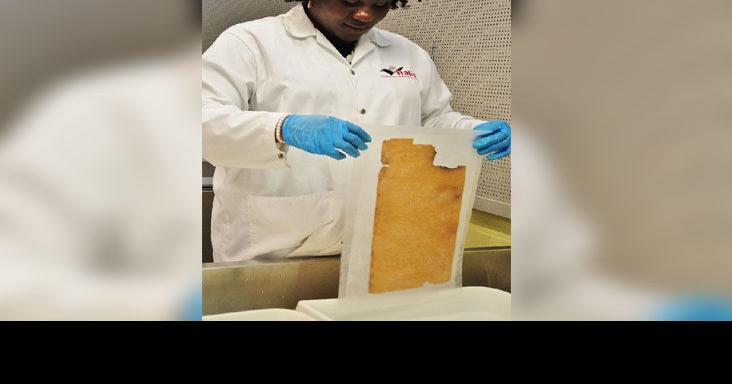 Nalis PAC Lab holds preservation workshops | Features Local | trinidadexpress.com
