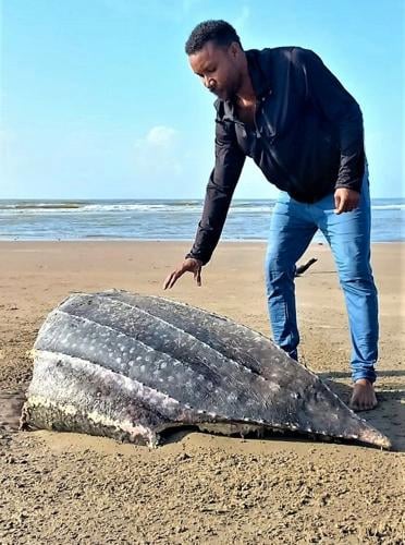 At the mercy of poachers | Features Local | trinidadexpress.com