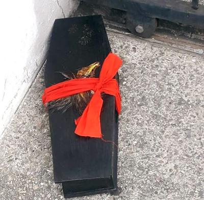 'Black Magic is real' | Local News | trinidadexpress.com