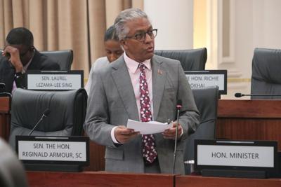 Armour: Auditor General was misadvised | Local News | trinidadexpress.com