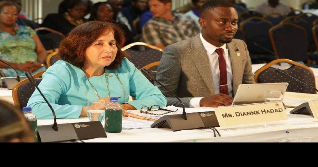 Ferry fiasco leads to millions in losses for Tobago stakeholders ...