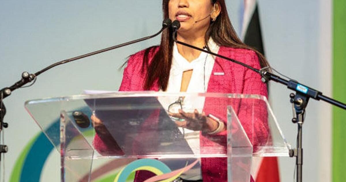 Energy Chamber reviews strategy after PM withdraws support | Business ...