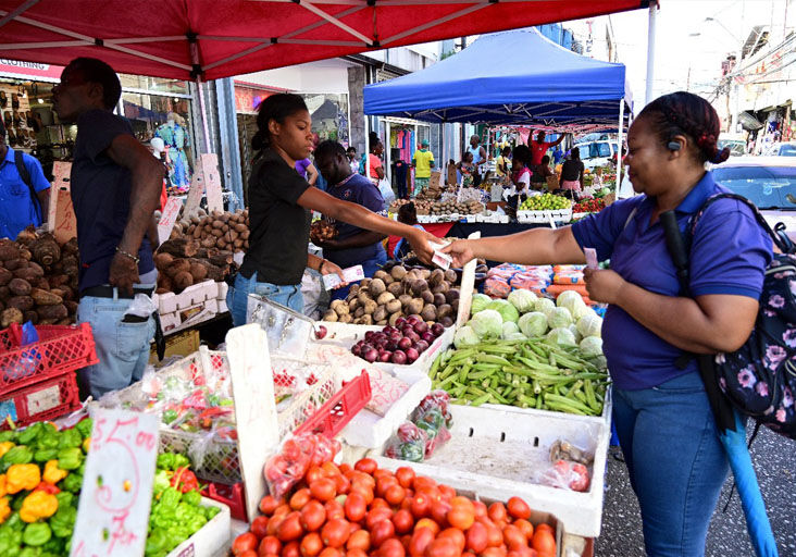 ‘T&T can slash its $5b food import bill’ | Local News | trinidadexpress.com