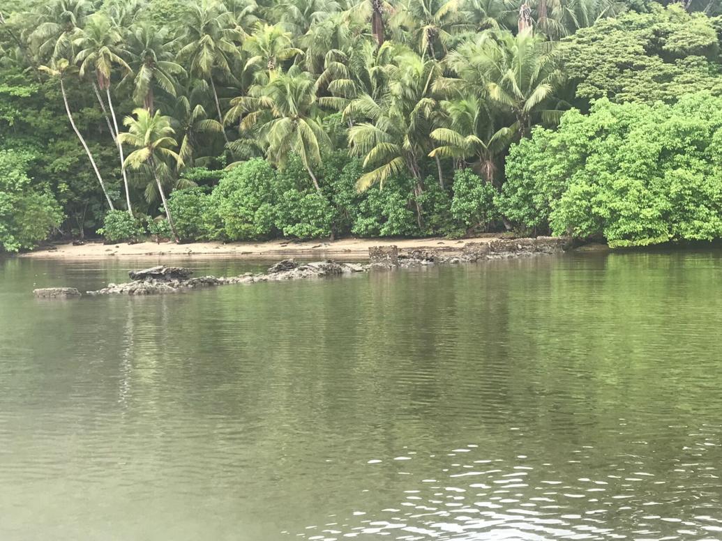 Tranquil Turtle Bay | Features Local | trinidadexpress.com