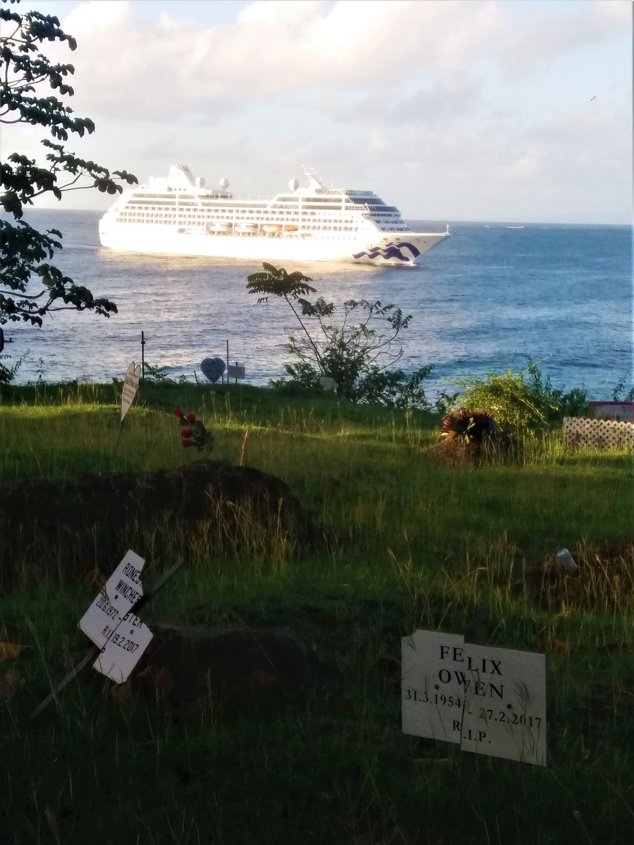 Cruise ships skip Tobago over SoE | Local News | trinidadexpress.com