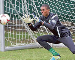 Akeems brother trains with Ferencvaros Torna | Local News ...