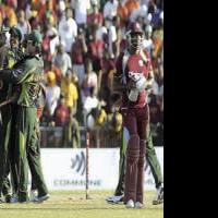 Dr David Toby critical after car accident | Local News ...