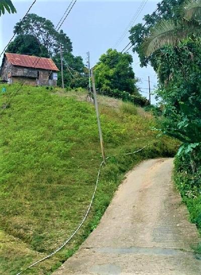 The precious Paramin house | Features Local | trinidadexpress.com