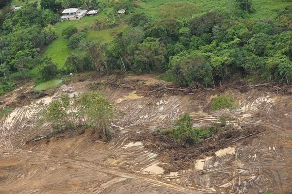 Solomon Hochoy Highway Extension to Point Fortin | Local News ...