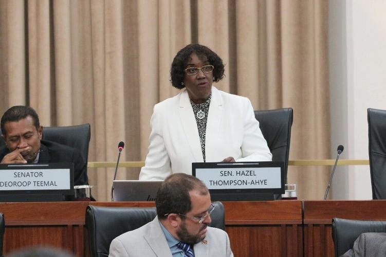 Senators grill Nyan on ‘compulsory’ MiLAT registration for expelled ...