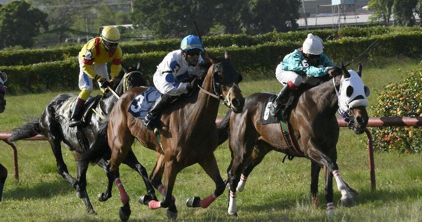 Balroop lands 164/1 double | Local Sports | trinidadexpress.com