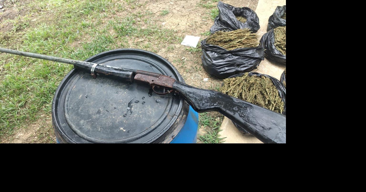Homemade shotgun and over $.4m in marijuana seized | News Extra ...