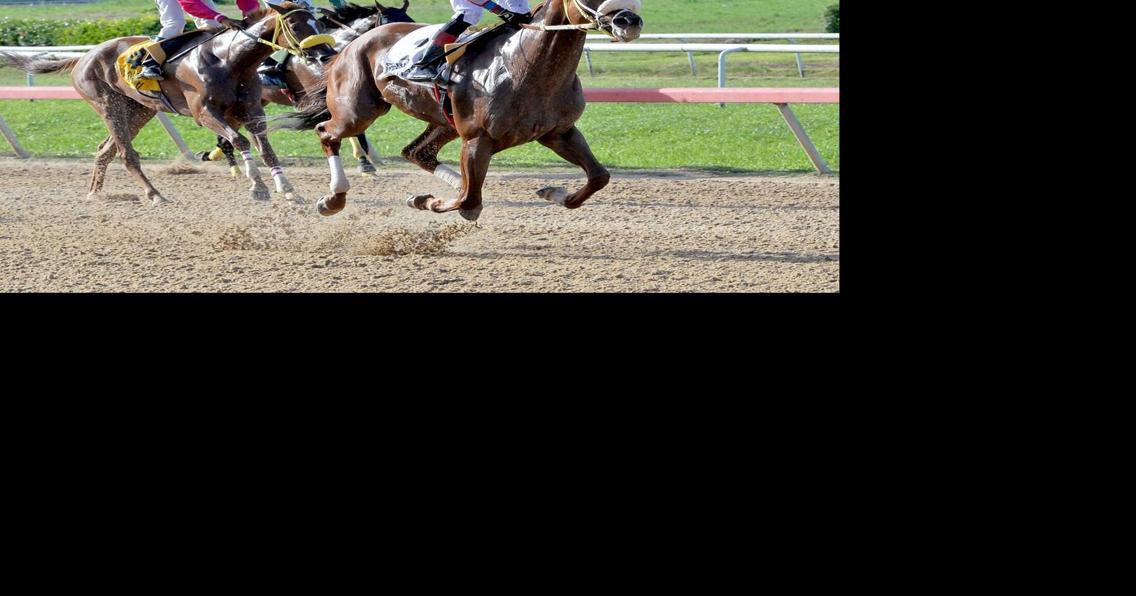 ‘Prince’, ‘Bird’ return on Friday | Local Sports | trinidadexpress.com