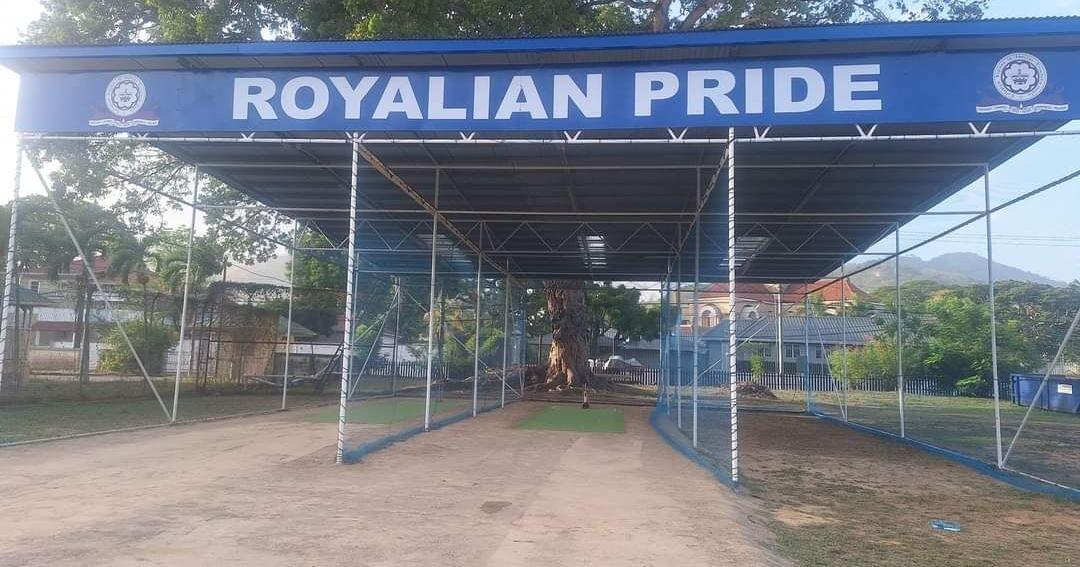 Royalian revival | Local Sports | trinidadexpress.com