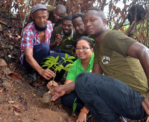 Rehabilitating our burnt hillsides | Features Local | trinidadexpress.com