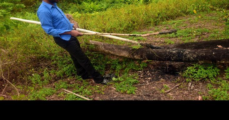 Mystical, magical Moruga | Features Local | trinidadexpress.com