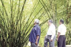 Changing face of Caura | Local News | trinidadexpress.com