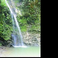 Renaissance of Blue Basin Waterfalls | Local News | trinidadexpress.com