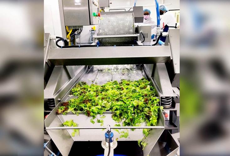 Novo bringing high tech to agri-processing | Local Business ...