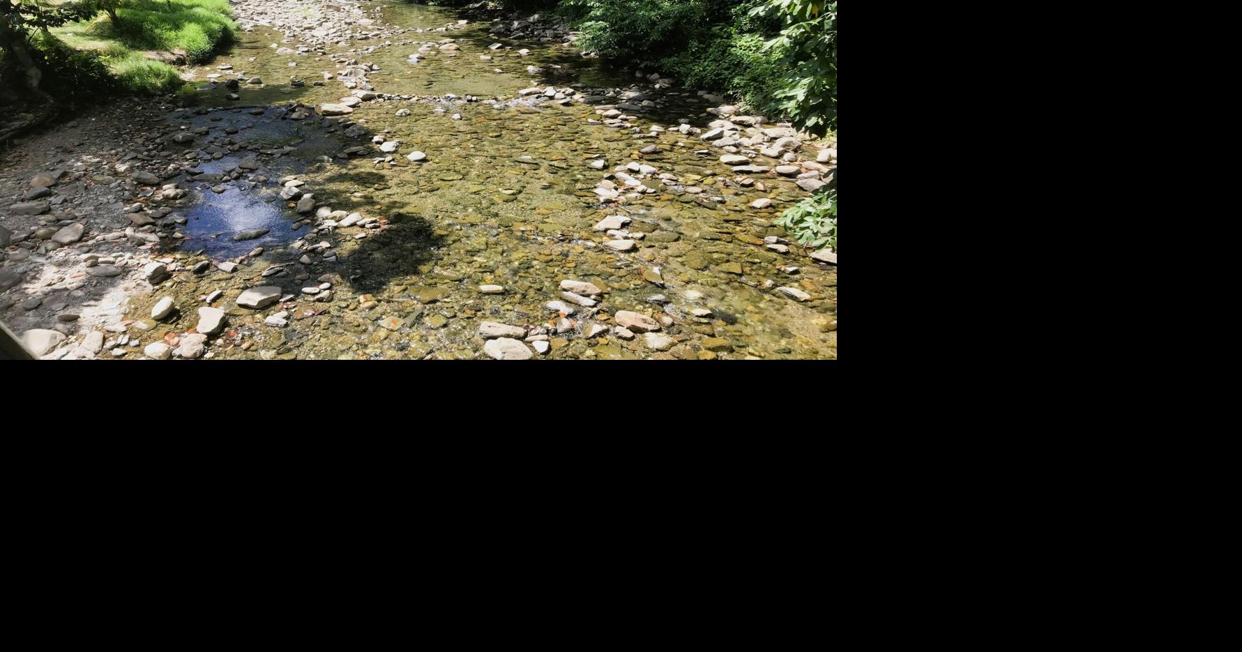 Rivers at all-time low | Features Local | trinidadexpress.com