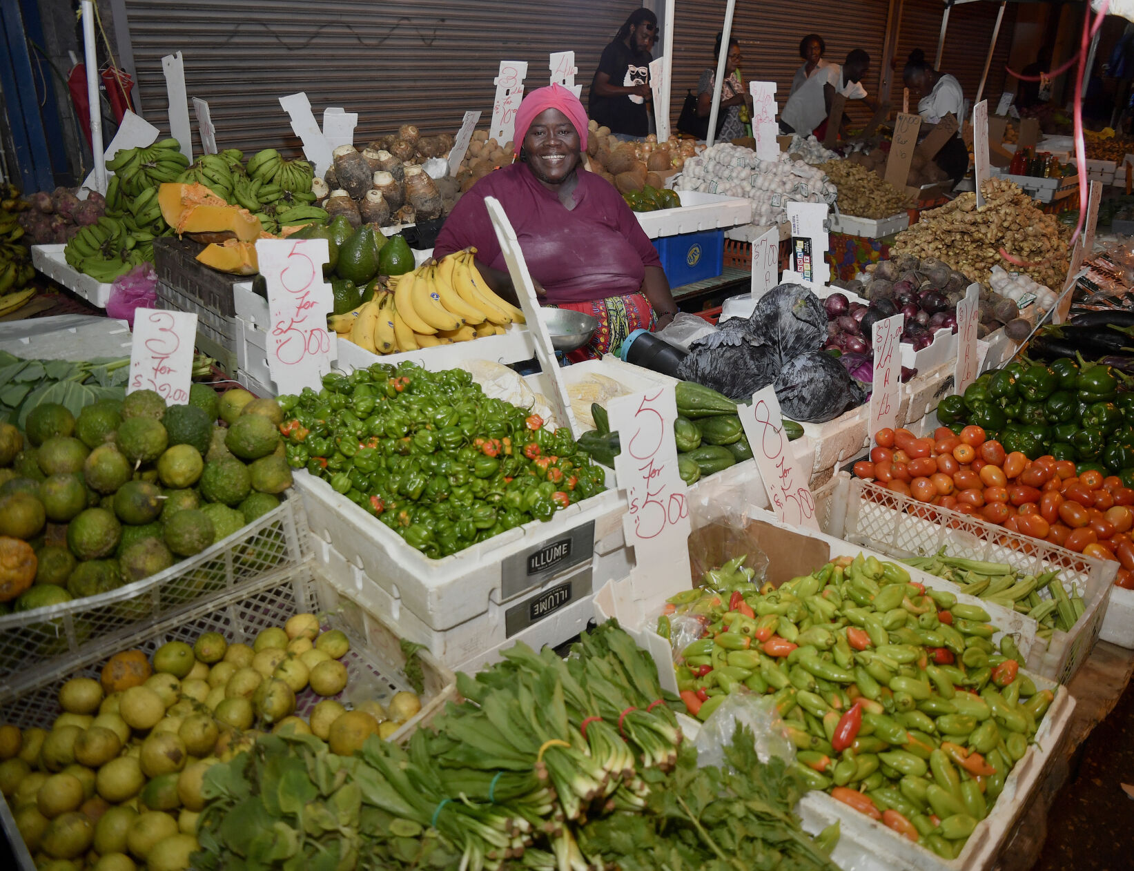‘We produce 55 percent less vegetables than in 2019’: ASTT warns of ...