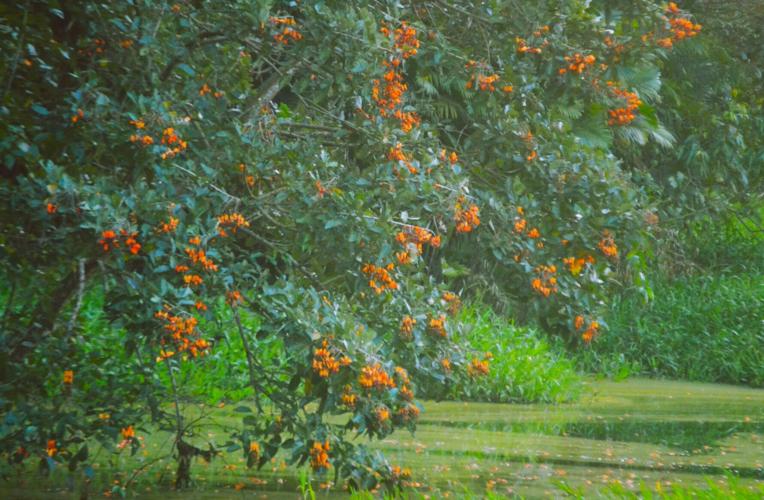 Hope in a changing landscape | Features Local | trinidadexpress.com