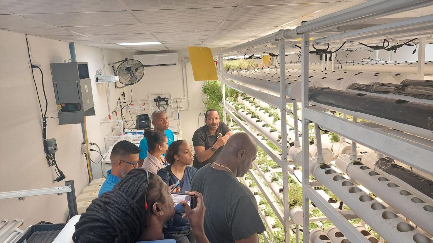 Cube Root Farms to maintain food security | Local Business ...