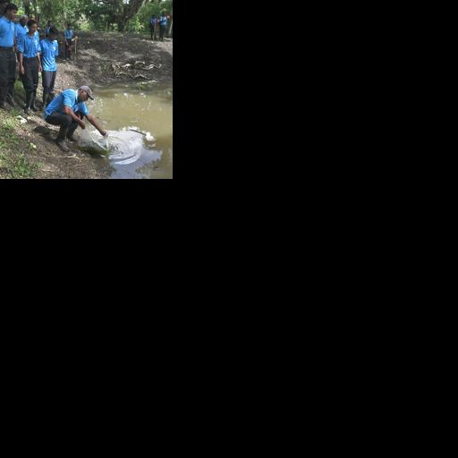 Palmiste Park pond restored | News Extra | trinidadexpress.com