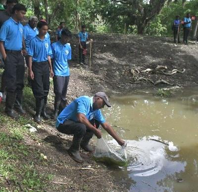 Palmiste Park pond restored | News Extra | trinidadexpress.com