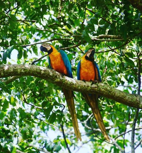 Tour operators call for reopening of Bush Bush Sanctuary | Local News ...