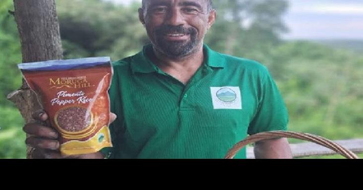 Moruga Hill Rice now available online at Walmart | Local Business ...