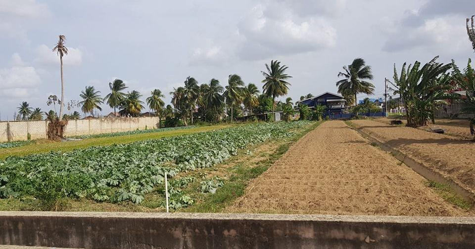 WASA seizes water pumps from farmers | Local News | trinidadexpress.com