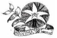 The Hyarima Movement | | trinidadexpress.com