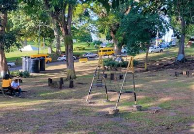 Mystery over mom's Palmiste Park poisoning | Local News ...