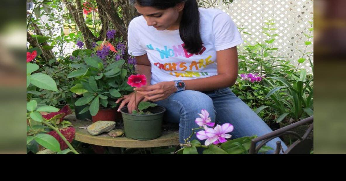 Kvita launches first collage collection | Features Local | trinidadexpress.com