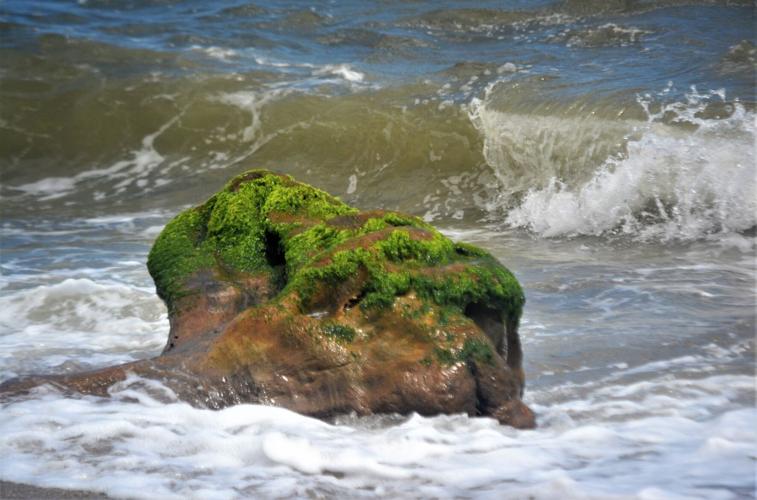 Changing face of Madamas Bay | Features Local | trinidadexpress.com