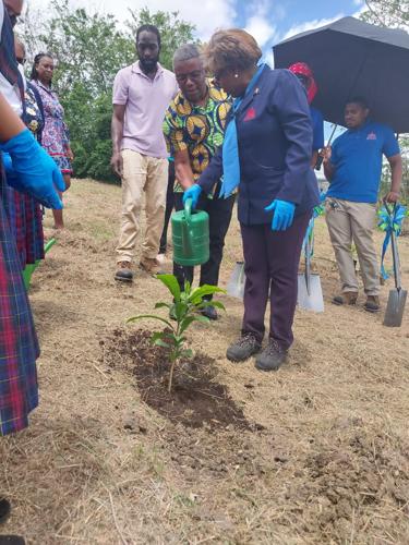 Speaker, mayor, students plant in Sando | Features Local ...