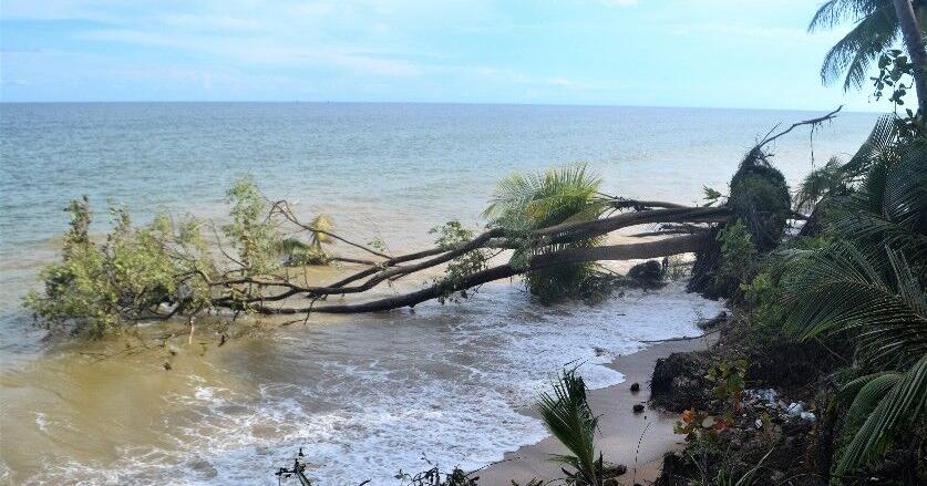 Land slipping away at Guaya | Features Local | trinidadexpress.com
