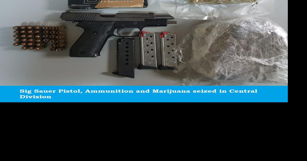 Police seize seven guns | News Extra | trinidadexpress.com