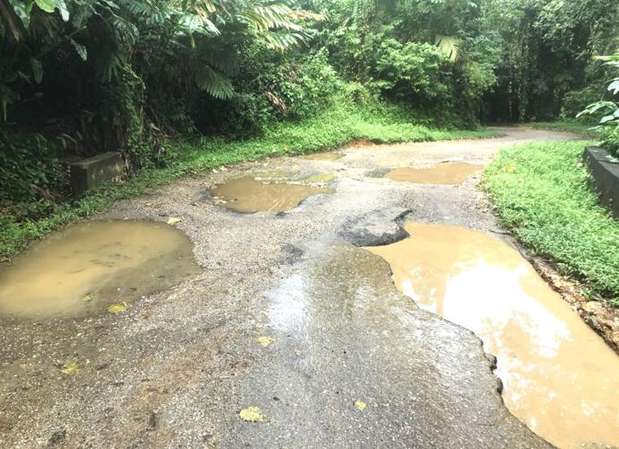 Hazardous road to Aripo | Features Local | trinidadexpress.com